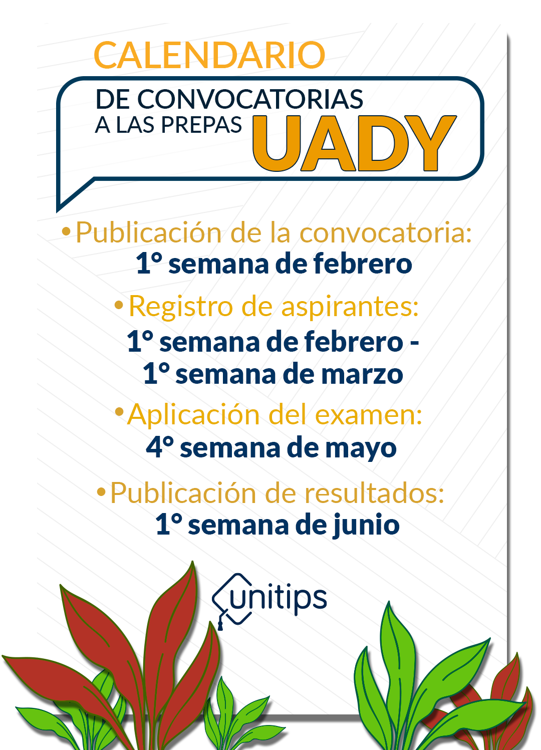 Ingreso al bachillerato de la UADY 2024