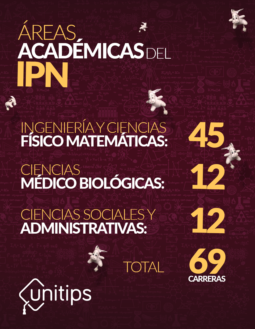 Carreras del IPN: oferta actualizada 2024