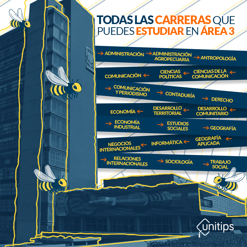 Todas las carreras que puedes estudiar en el área 3 UNAM