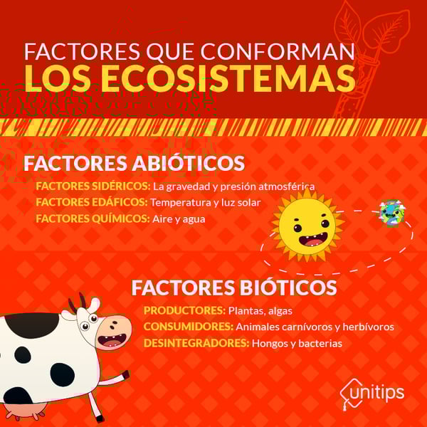 Factores que conforman los ecosistemas | Guía IPN Factores que conforman los ecosistemas | Guía IPN
