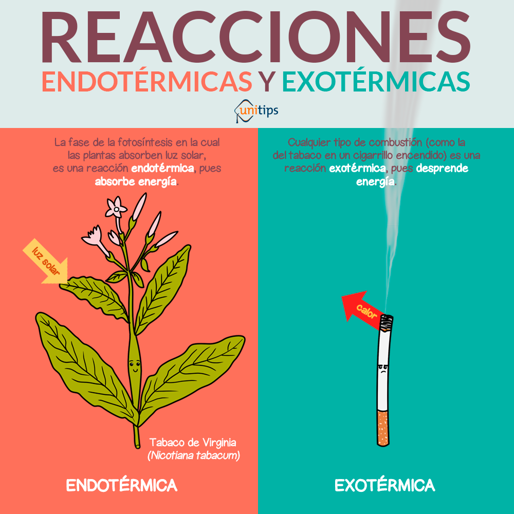 Química: Reacciones endotérmicas y exotérmicas temas CENEVAL EXANI II