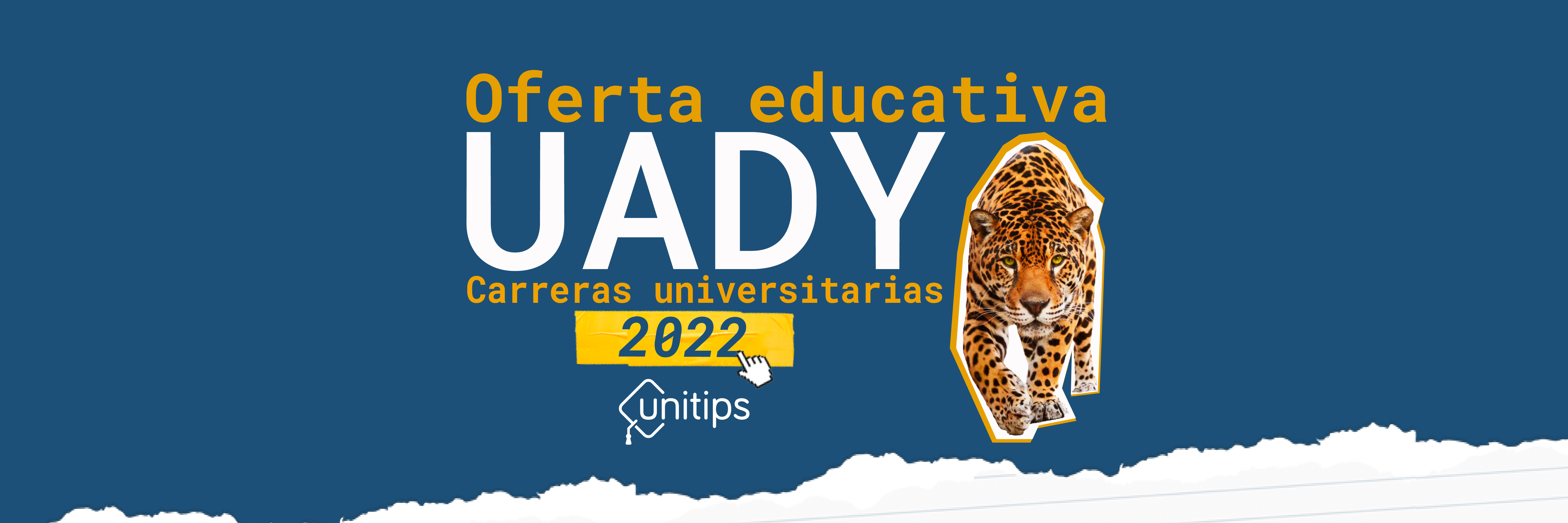 Oferta educativa UADY: carreras universitarias 2022